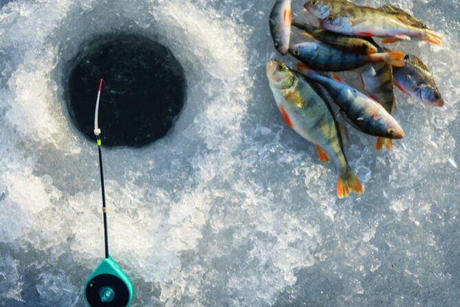 2-Hour Ice Fishing Experience in Rovaniemi, Finland - Value and Pricing
