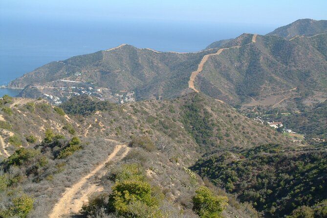 2 hour Inside Adventure Tour on Catalina Island - Who Will Love This Tour?