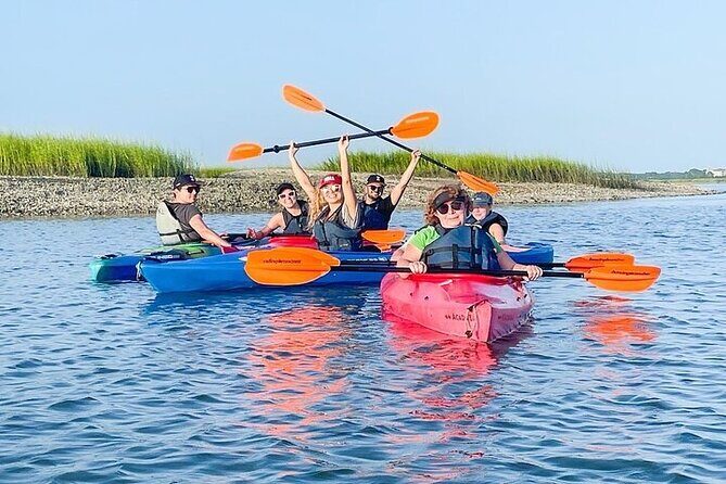 2 Hour Kayak Hilton Head Dolphin and Nature Tour - What the Tour Is All About