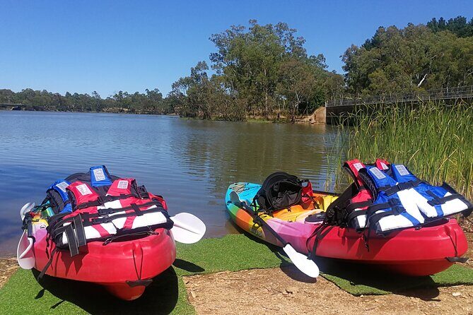 2-Hour Kayaking Experience in Barossa Valley - Diving Into the 2-Hour Kayaking Experience in Barossa Valley
