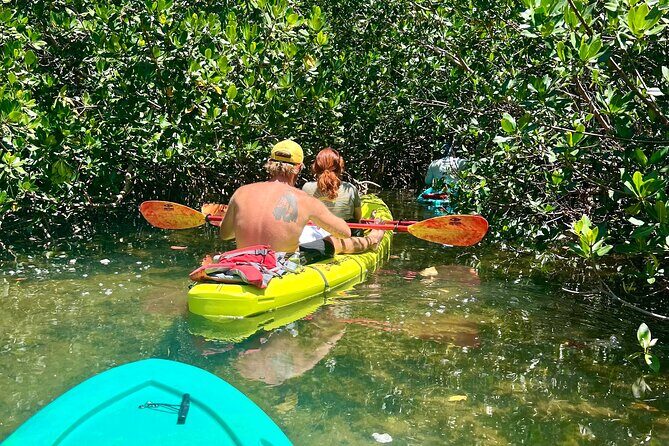 2 Hour Key West Kayak Rental  Discover Mangroves & Wildlife! - A Closer Look at the Experience
