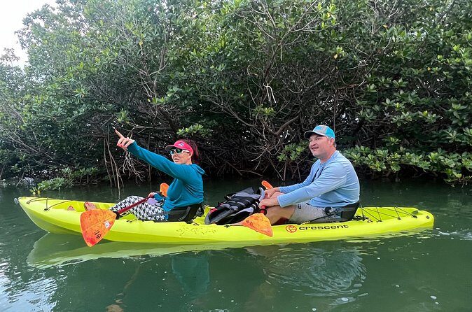 2 Hour Key West Kayak Rental  Discover Mangroves & Wildlife! - The Bottom Line