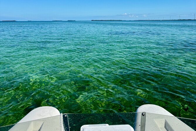 2 Hour Key West Mini Catamaran Eco Tour - The Real Experience: What Guests Say