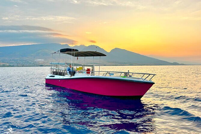 2 hour Lahaina Sunrise Whale Watch - Who’s This Tour Perfect For?