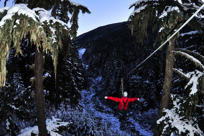 2 Hour Late Afternoon Winter Zipline Adventure - An Experience of Light and Shadow