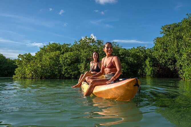 2 Hour Mangrove Kayak and Snorkel Tour - Key Points