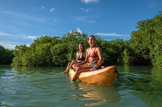 2 Hour Mangrove Kayak and Snorkel Tour - Authentic Perspectives from Travelers