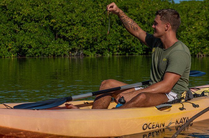 2 Hour Mangrove Kayak and Snorkel Tour - Who Should Book This Tour?