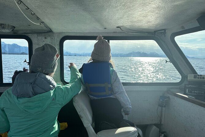 2-Hour Marine Wildlife Tour in Sitka - An Honest Look at the Experience