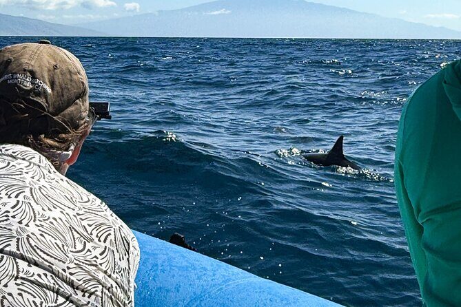 2 Hour Maui Dolphin Watch Sightsee Raft Tour (Semi-Private) - What to Expect on the Maui Dolphin Watch Eco-Raft Tour