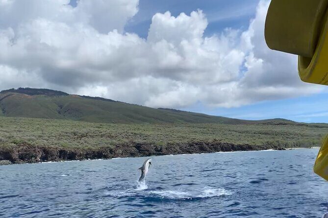 2 Hour Maui Dolphin Watch Sightsee Raft Tour (Semi-Private) - The Bottom Line