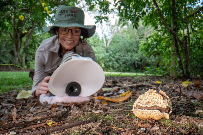 2-Hour Mushroom Photography Activity in Cairns Botanic Gardens - The Itinerary in Detail