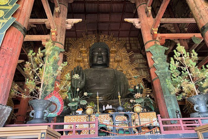 2-Hour Nara: Discover Every Bit of Tohdaiji-Temple Private Tour - Exploring Nara’s Timeless Sights in Two Hours