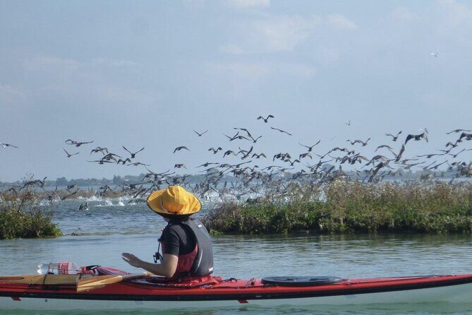 2 Hour Night Kayak Tour in Venice, premium experience with sunset - What’s Included and How It Works