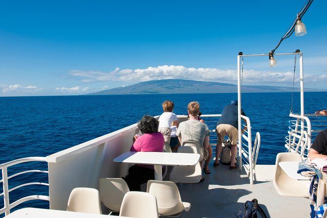 2-Hour Oahu Whale Watch from Ala Wai Harbor, Waikiki - Final Thoughts