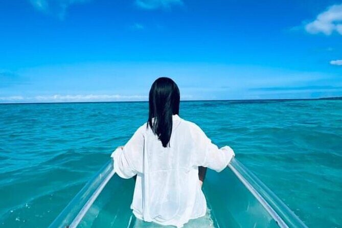 2-Hour or 4-Hour Self Guided Clear Kayak Tours in Oahu - An Overview of the Experience