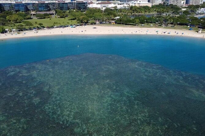 2-Hour or 4-Hour Self Guided Clear Kayak Tours in Oahu - What the Reviews Say