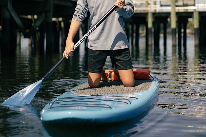 2 Hour Paddle Board Rental - Introduction: What to Expect from the Crystal River Paddle Board Rental