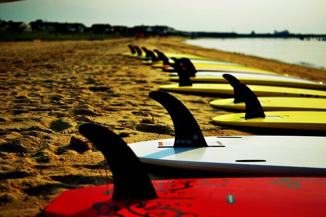 2-Hour Paddleboard Rental in Rehoboth Bay - Practical Tips for a Great Paddleboarding Experience