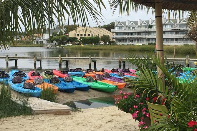 2-Hour Paddleboard Rental in Rehoboth Bay - Who This Paddleboard Rental Is Perfect For