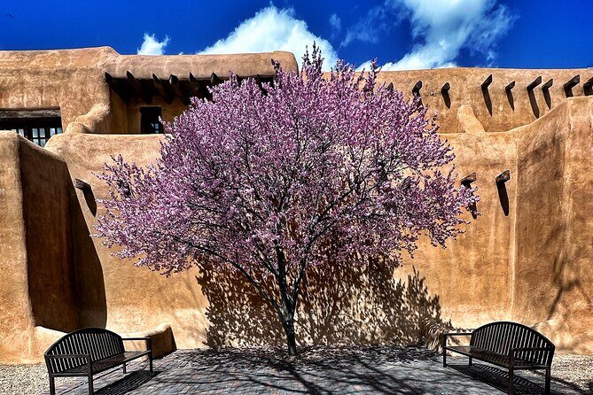 2-Hour Photography Class While Touring Downtown Santa Fe, Smart Phones Welcome! - Final Thoughts