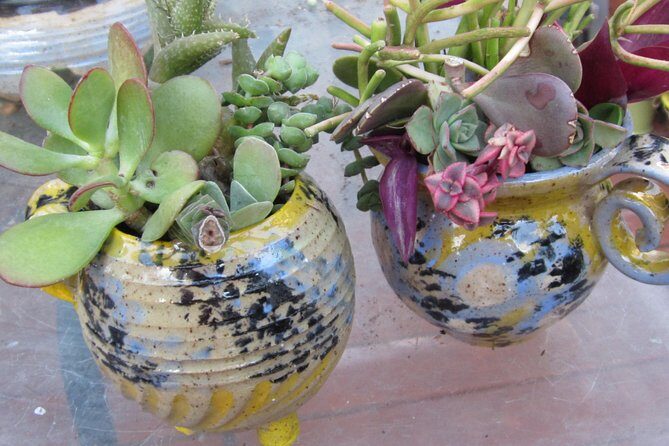 2- Hour Pottery Workshop and Studio Tour in Ojai - Who Should Consider This?