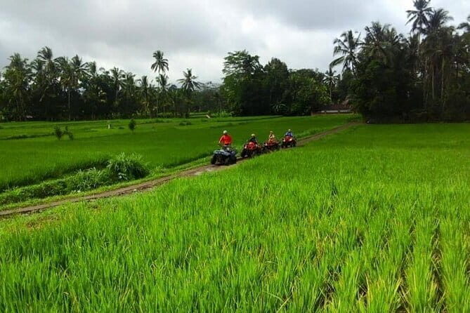 2 Hour Private ATV Ride In Bali Ubud - Key Points