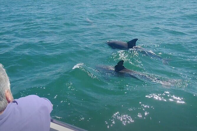 2-hour Private Boat Tour in Clearwater Florida - FAQ