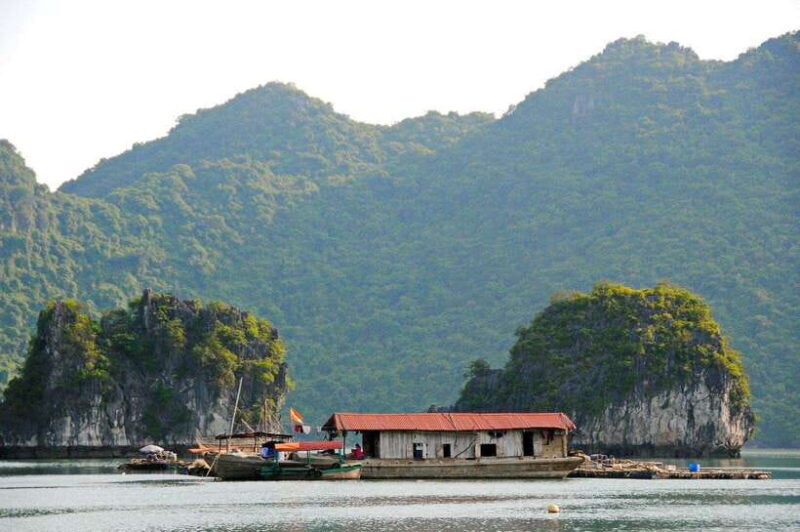 2-Hour Private Canoe Discover the Best of Ha Long Bay - What Travelers Say