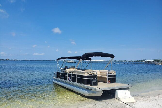 2 Hour Private Dolphin and Sightseeing Tour Shell Island - How the Tour Is Built for Value and Comfort