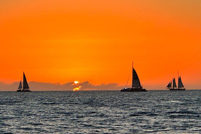 2 Hour Private Dolphin and Sightseeing Tour Shell Island - Authentic Reviews and Perspectives