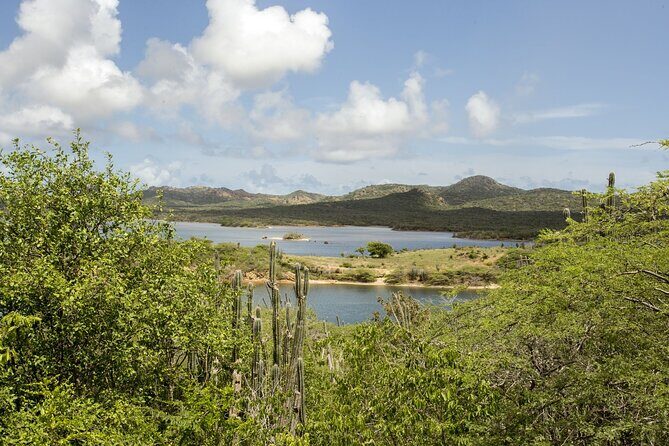 2 Hour Private Guided North Island Tour for singles or doubles - Detailed Breakdown of the Itinerary