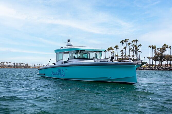 2 Hour Private Luxury Speedboat in Mission Bay - Key Points