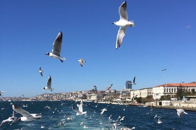 2-Hour Private Luxury Yacht Cruise on Bosphorus with Transfers - The Review: What We’ve Learned from Others