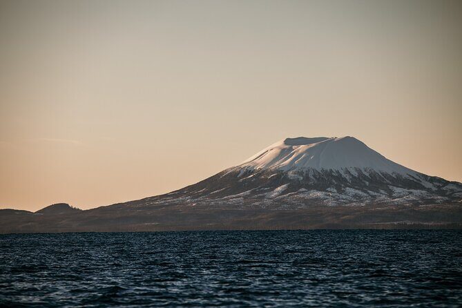 2 Hour Private Marine Wildlife Tour - FAQ