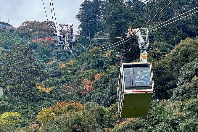 2 Hour Private Scenic Mountain Castle Tour in Gifu - FAQs