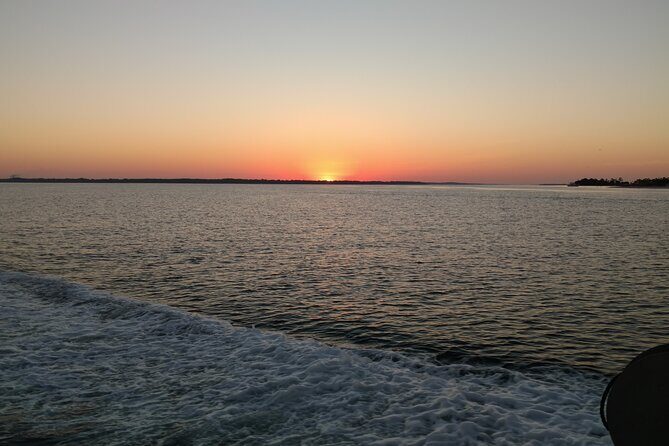 2-Hour Private Sightseeing Dolphin Tour in Panama City Beach - Introduction: What We Love About This Tour