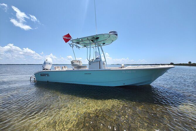 2-Hour Private Sightseeing Dolphin Tour in Panama City Beach - The Value of This Tour