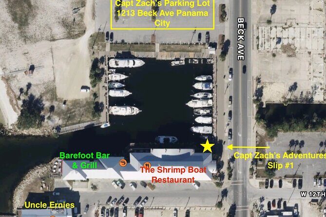 2-Hour Private Sightseeing Dolphin Tour in Panama City Beach - Detailed Itinerary Breakdown
