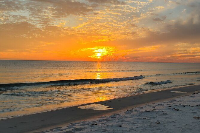 2-Hour Private Sightseeing Dolphin Tour in Panama City Beach - The Sum Up: Who Will Love This Experience?