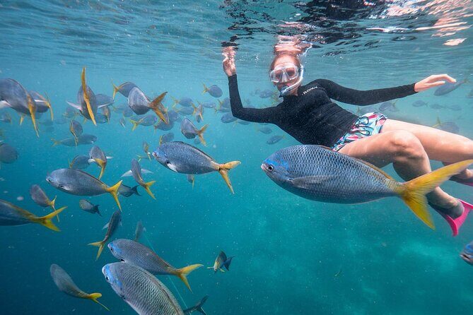 2-Hour Private Snorkelling in Maldives - Key Points