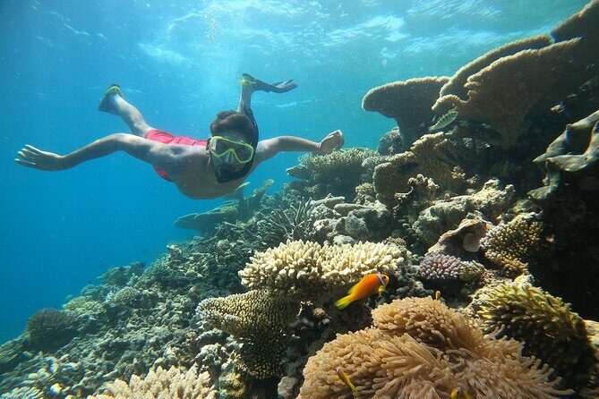 2-Hour Private Snorkelling in Maldives - Transportation and Logistics
