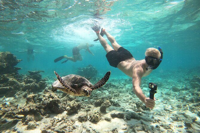 2-Hour Private Snorkelling in Maldives - Final Thoughts: Is This Tour for You?