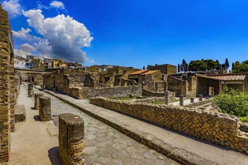 2-Hour Private Tour of the Ruins of Herculaneum - Key Points
