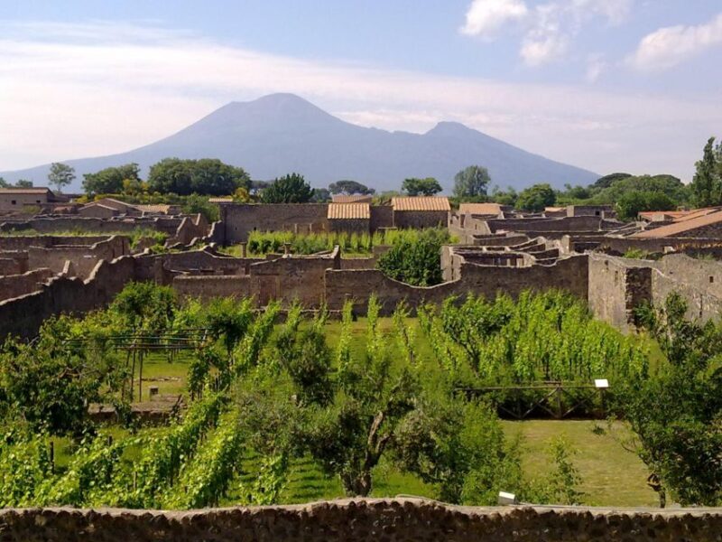 2-Hour Private Walking Tour of Pompeii - The Sum Up