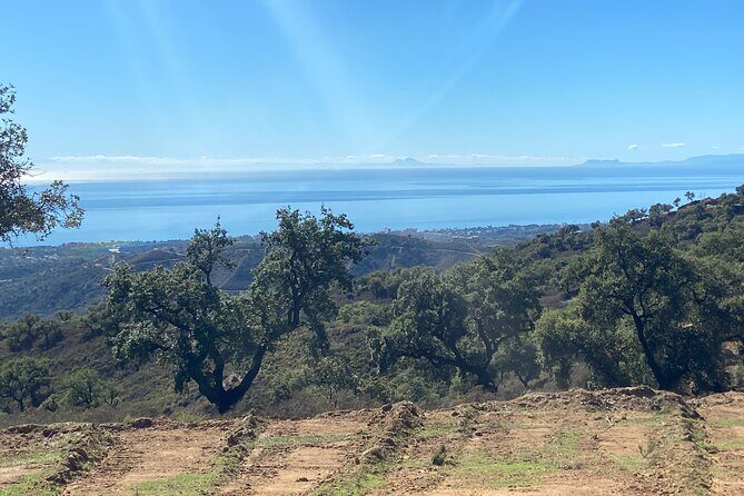 2 Hour Quad/ATV Tour Off-Road Adventure in Mijas - What Makes This Tour Stand Out