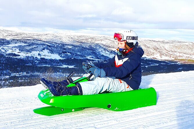 2-Hour Racing Toboggan at Dagali Fjellpark near Geilo in Norway - Introduction