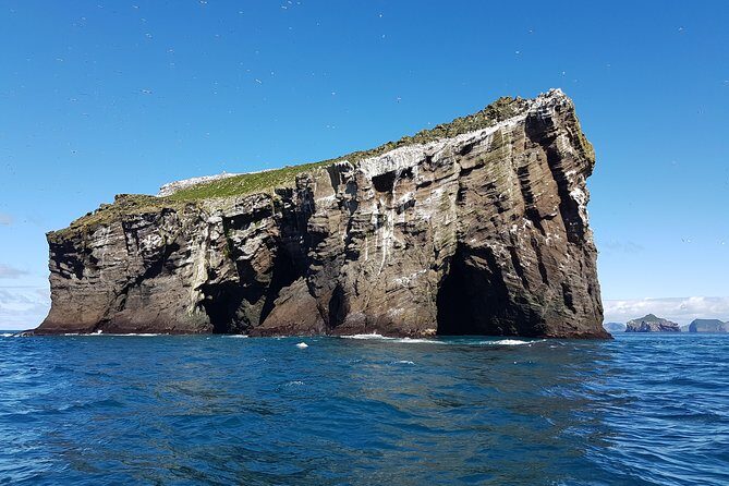 2 hour Round Trip in Vestmannaeyjar on a RIB Boat - Final Thoughts