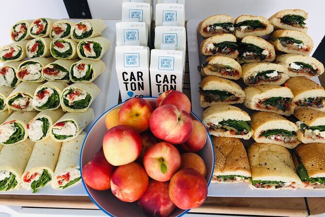 2 hour Seals & Seadragon Swim - A Detailed Look at the Tour Experience