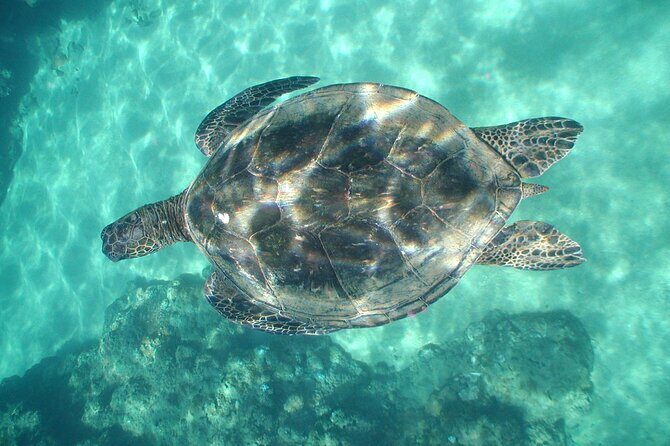 2-Hour Snorkeling Adventure in Kauai - The Sum Up